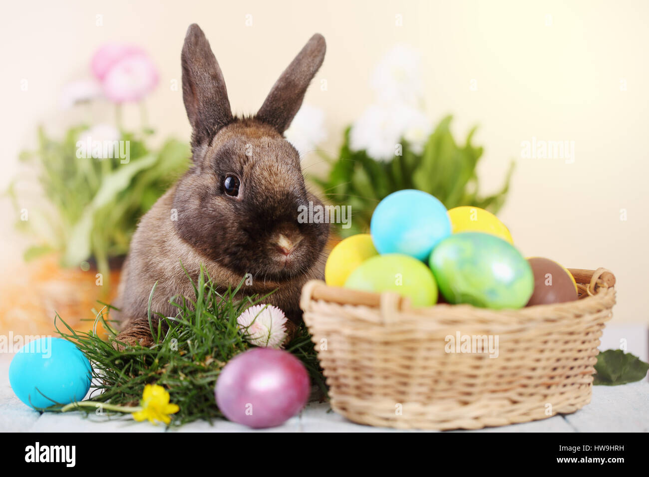 Easter bunny and Easter eggs Stock Photo - Alamy