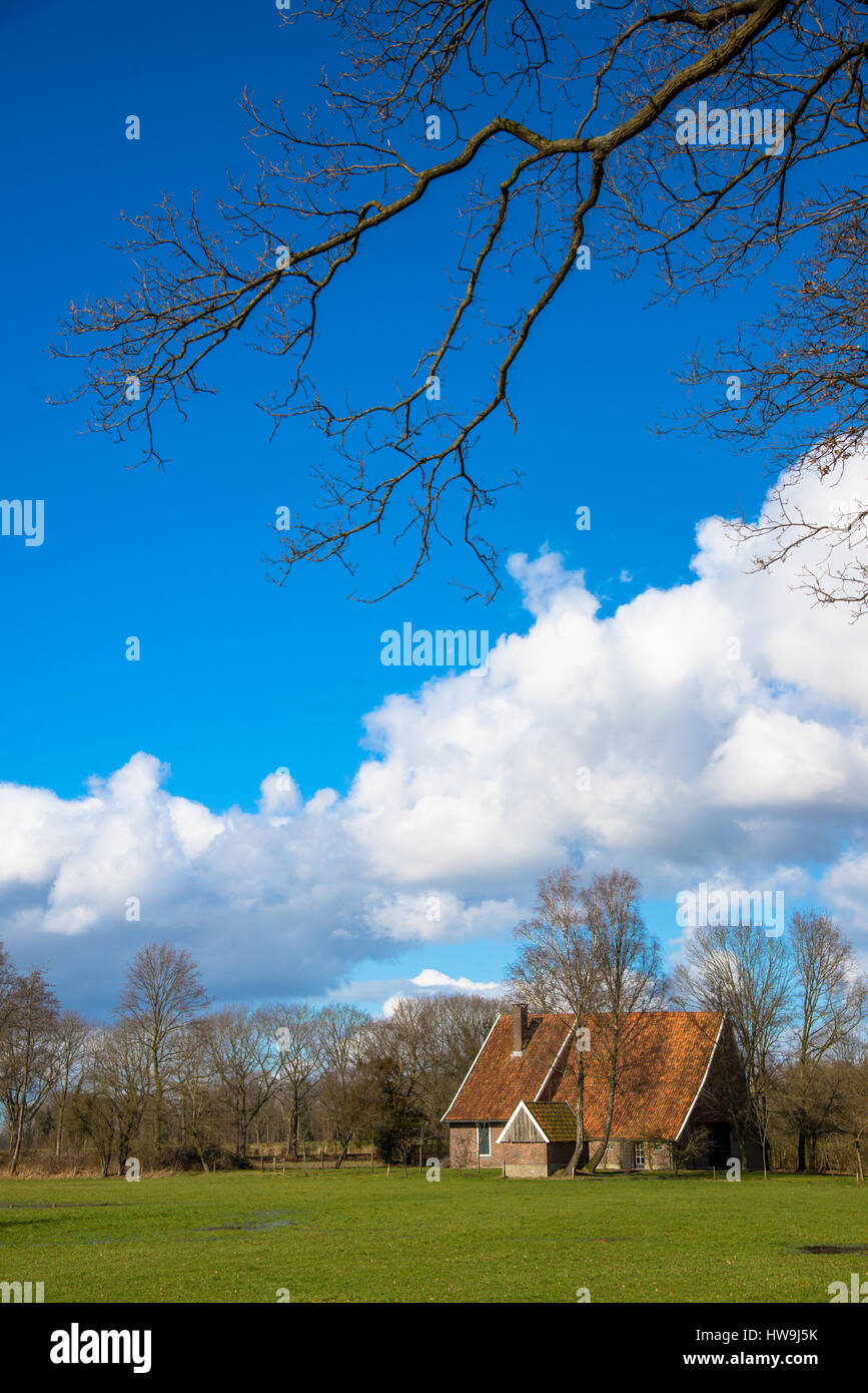 traditional farm in achterhoek, holland Stock Photo - Alamy