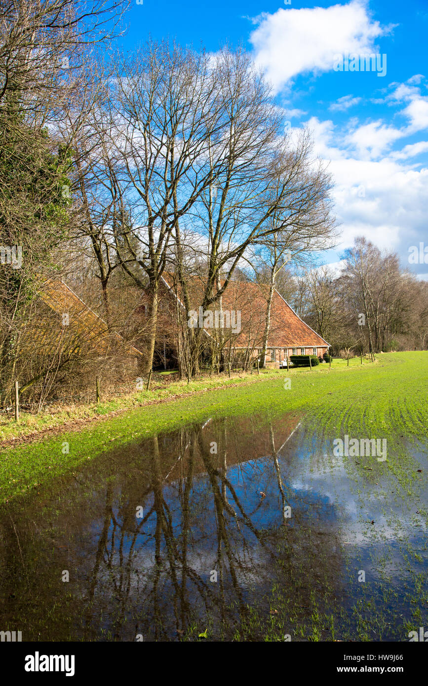 traditional farm in achterhoek, holland Stock Photo - Alamy