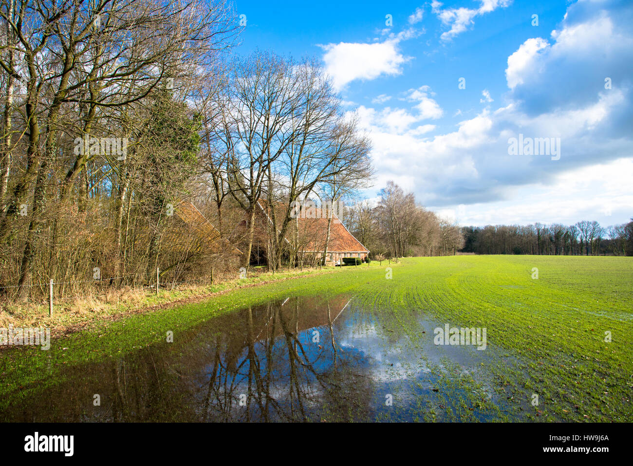 traditional farm in achterhoek, holland Stock Photo - Alamy