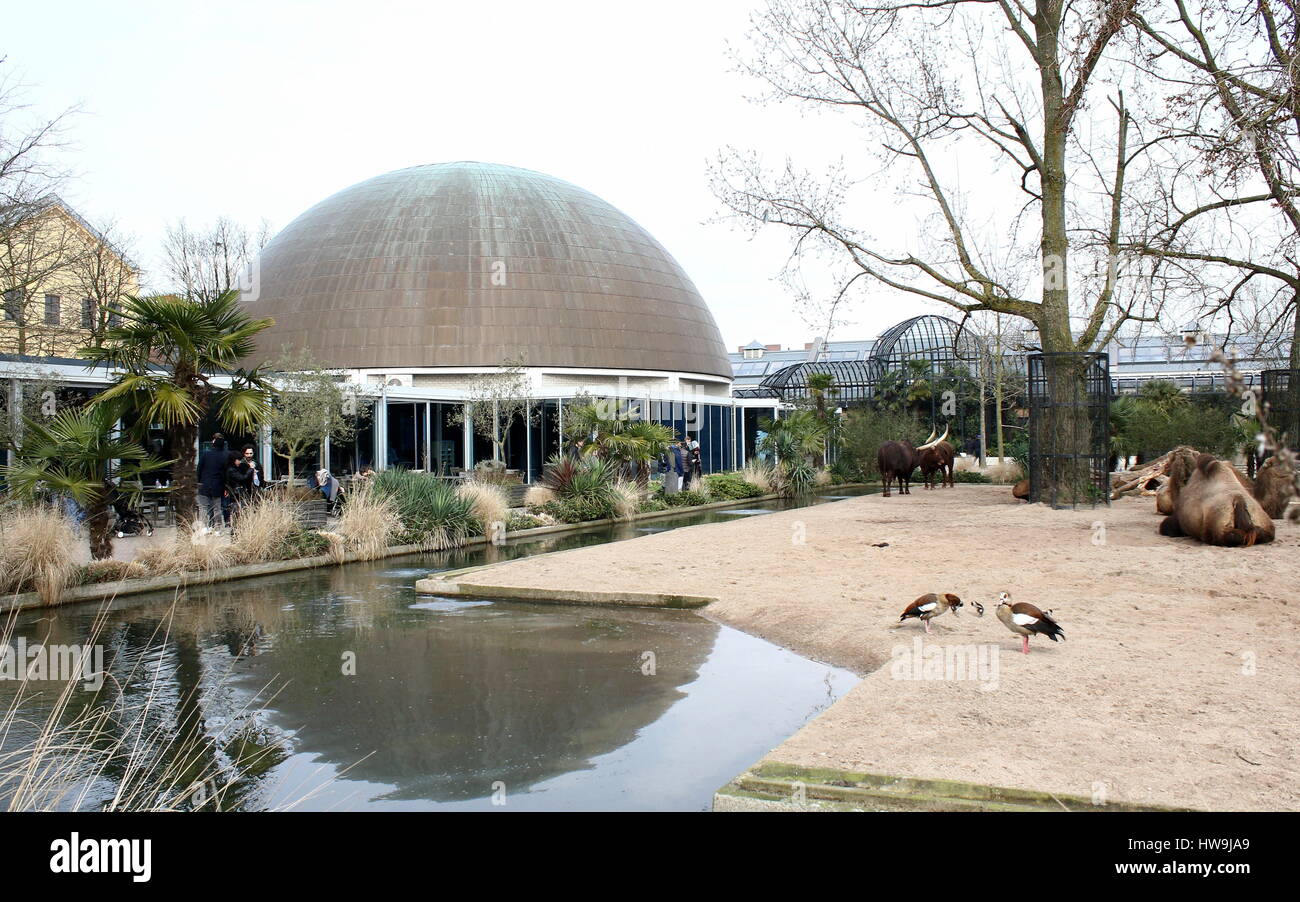 Pens and enclosures in Artis Amsterdam Zoo, Amsterdam, The Netherlands ...