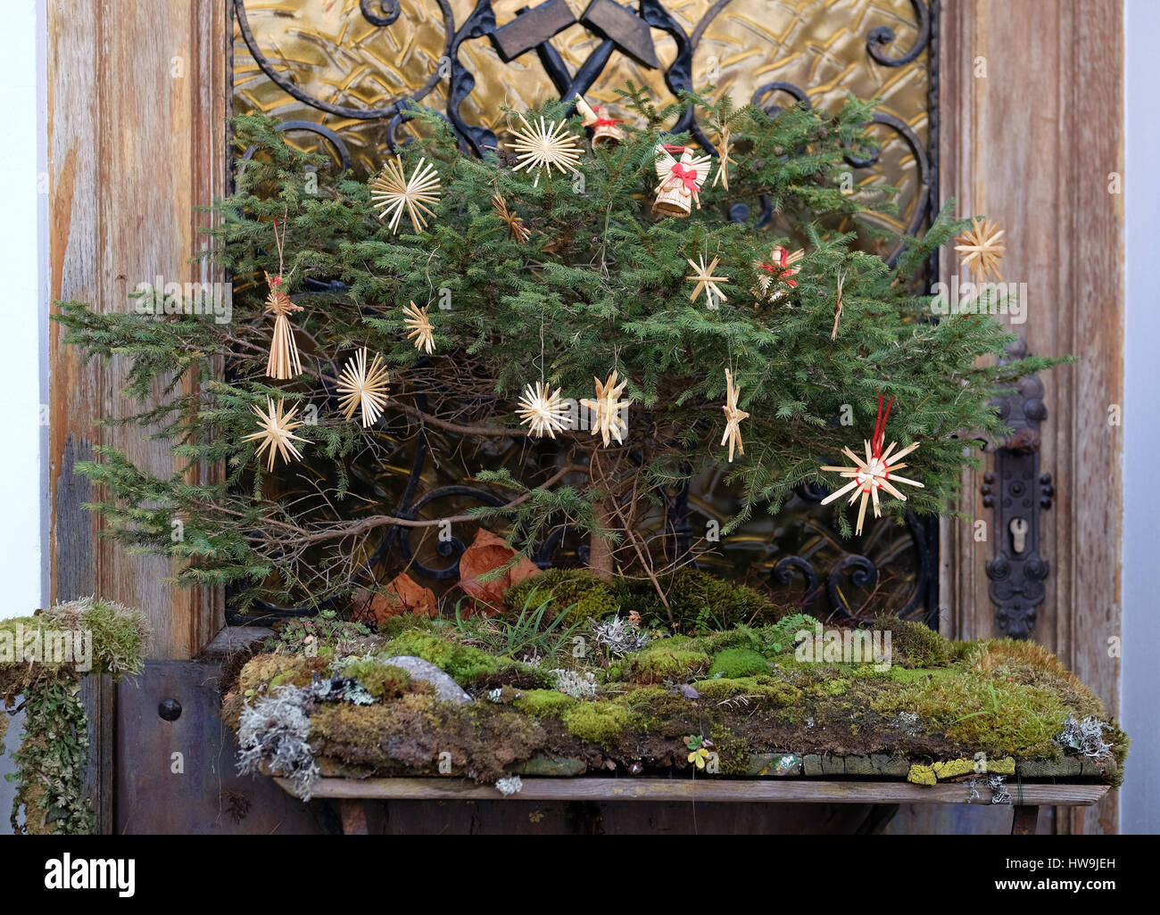 Country rural christmas tree hi-res stock photography and images - Alamy