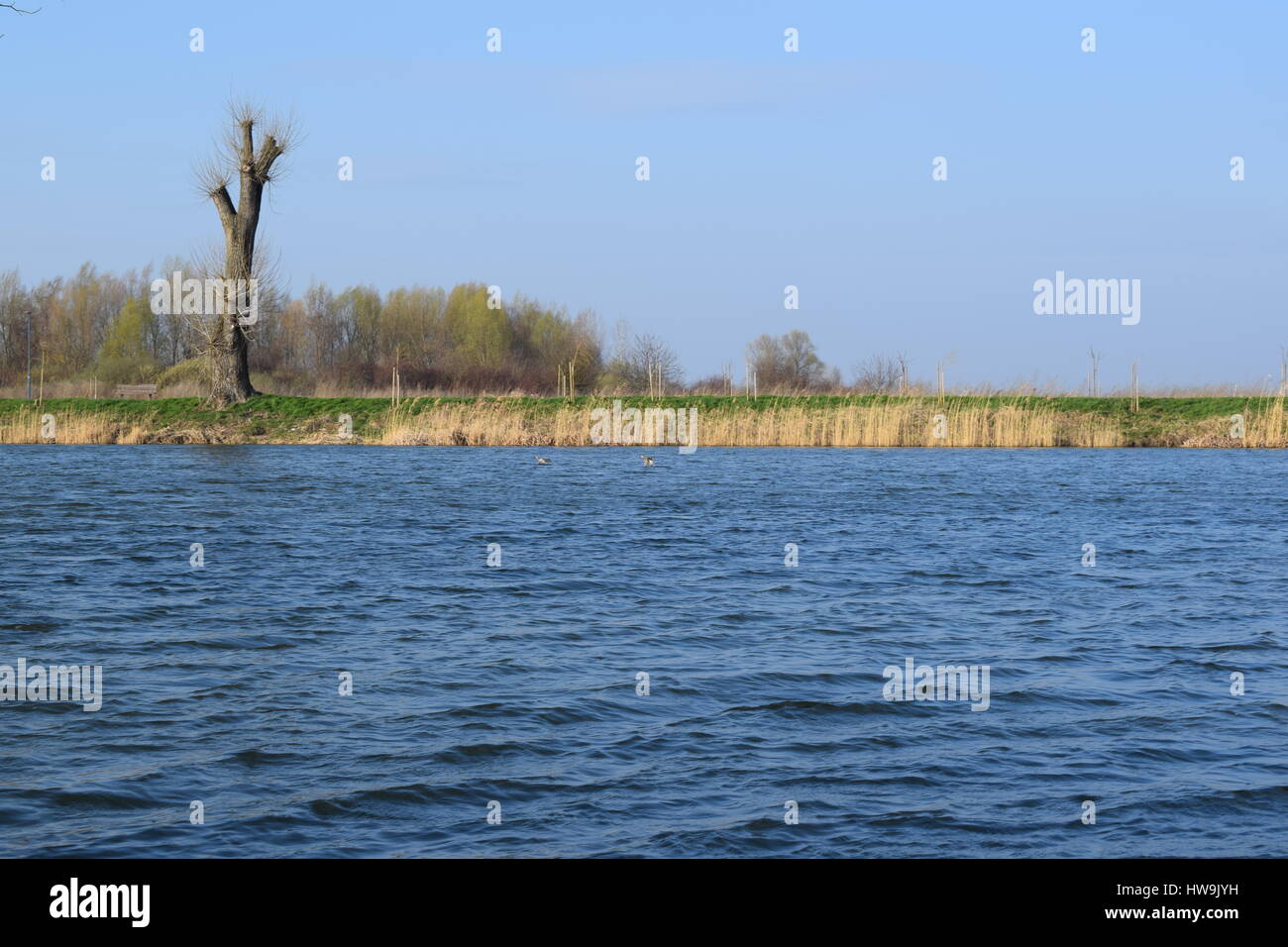 the awakening of spring in the garden and lake Stock Photo - Alamy