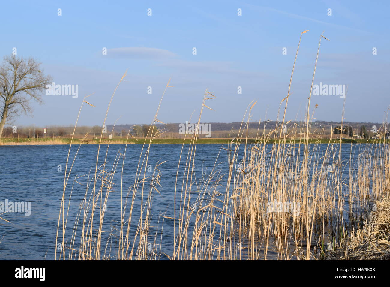 the awakening of spring in the garden and lake Stock Photo - Alamy