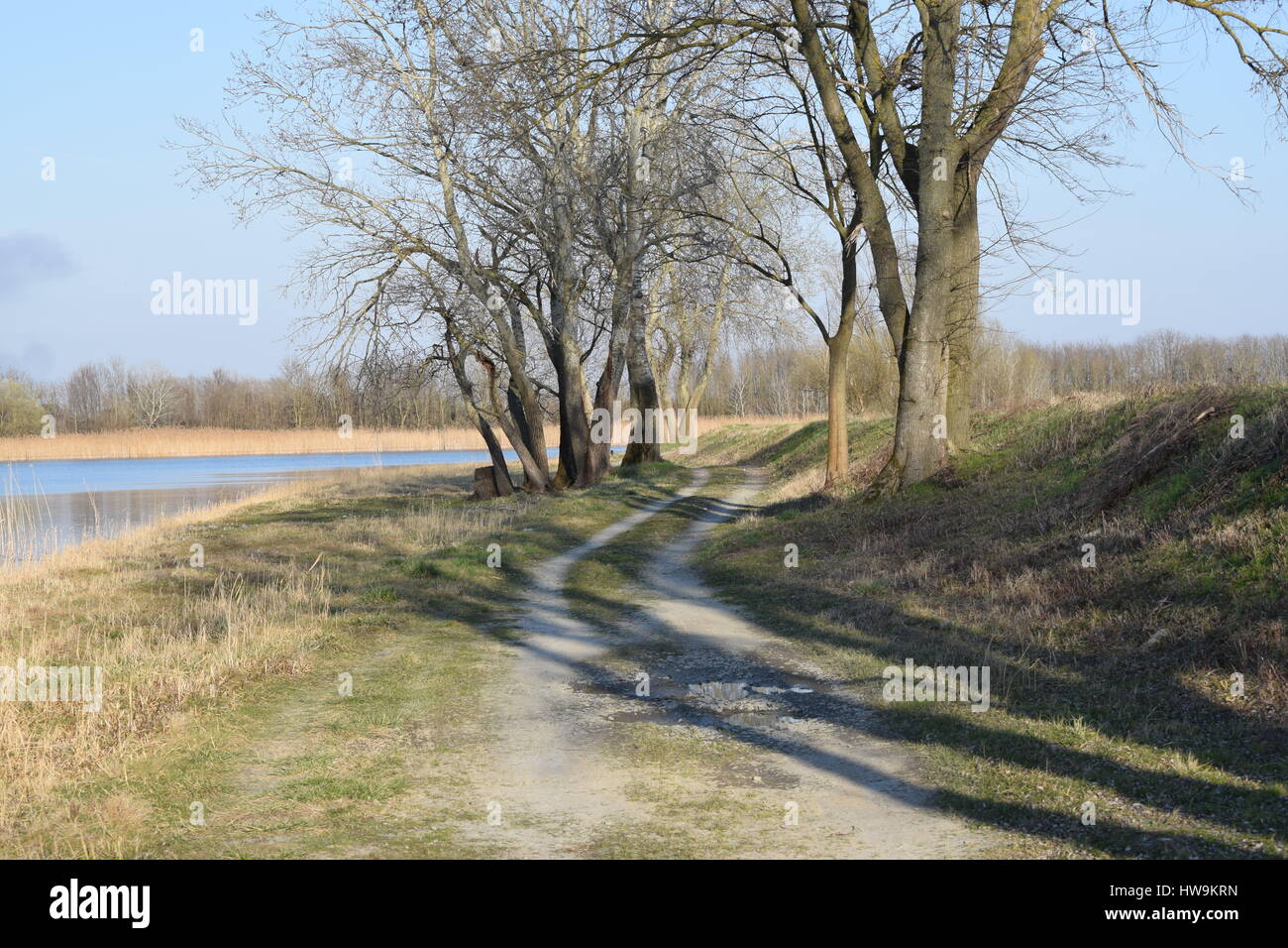 the awakening of spring in the garden and lake Stock Photo - Alamy