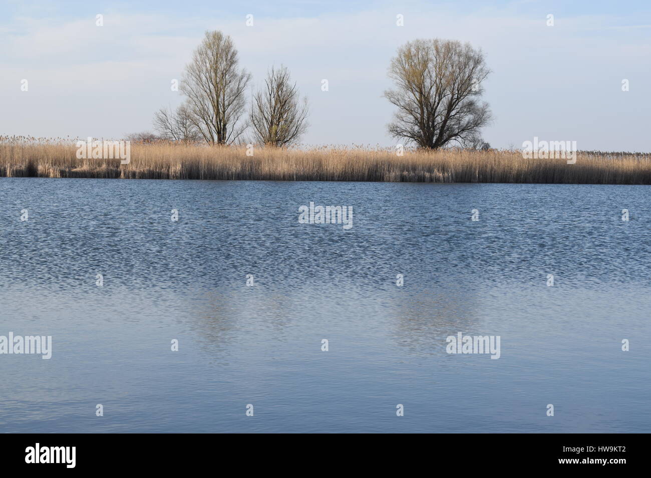 the awakening of spring in the garden and lake Stock Photo - Alamy