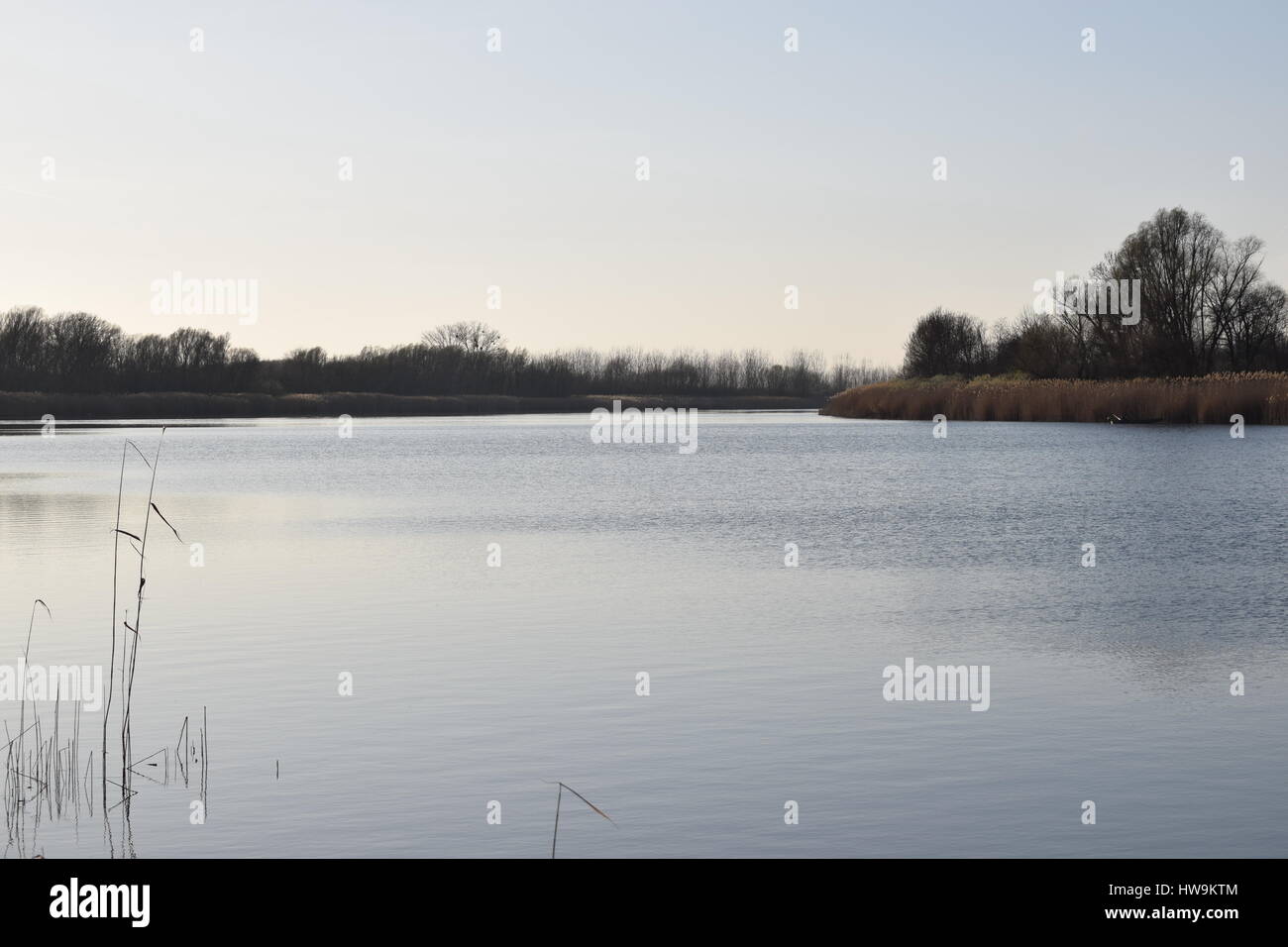 the awakening of spring in the garden and lake Stock Photo - Alamy