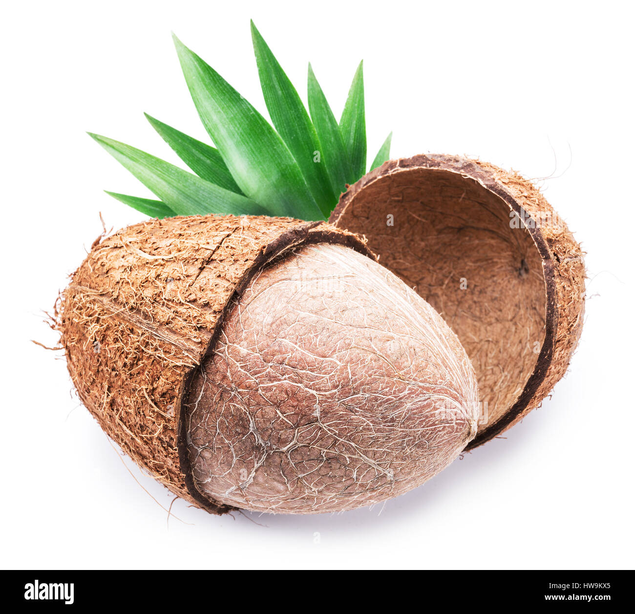 Coconut Fruit Wallpaper