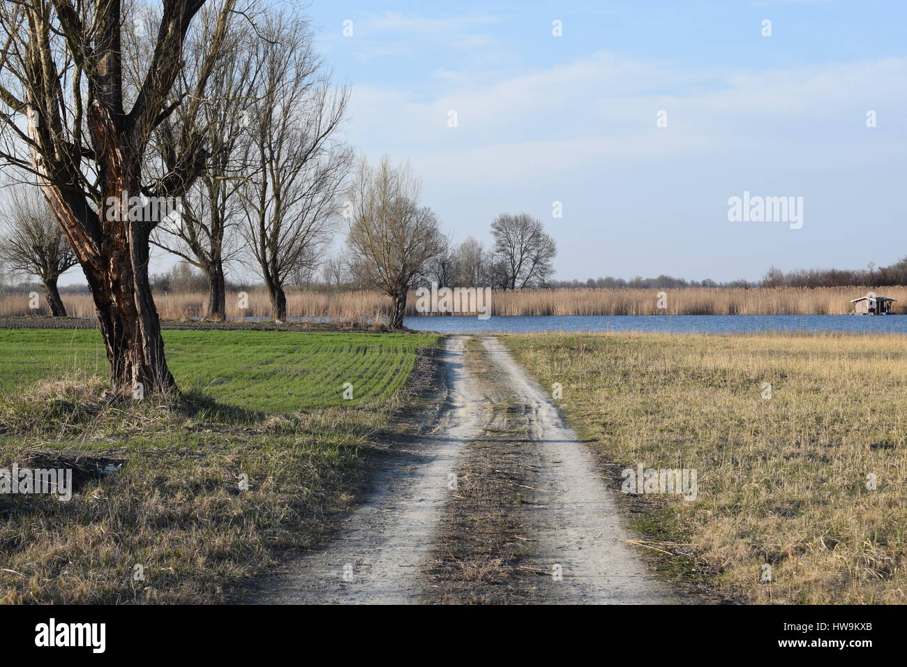 the awakening of spring in the garden and lake Stock Photo - Alamy