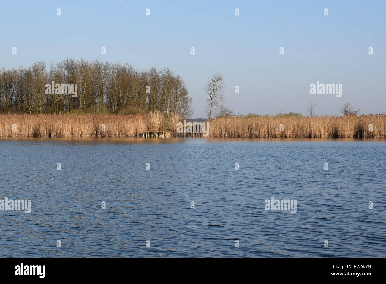 the awakening of spring in the garden and lake Stock Photo - Alamy