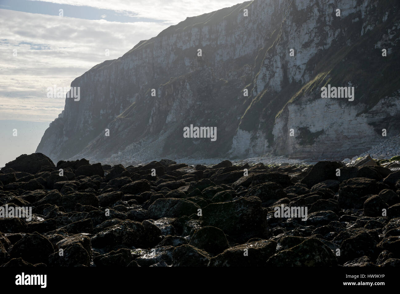 Cliffs at the south end of Filey Bay. Well known site for geologists ...