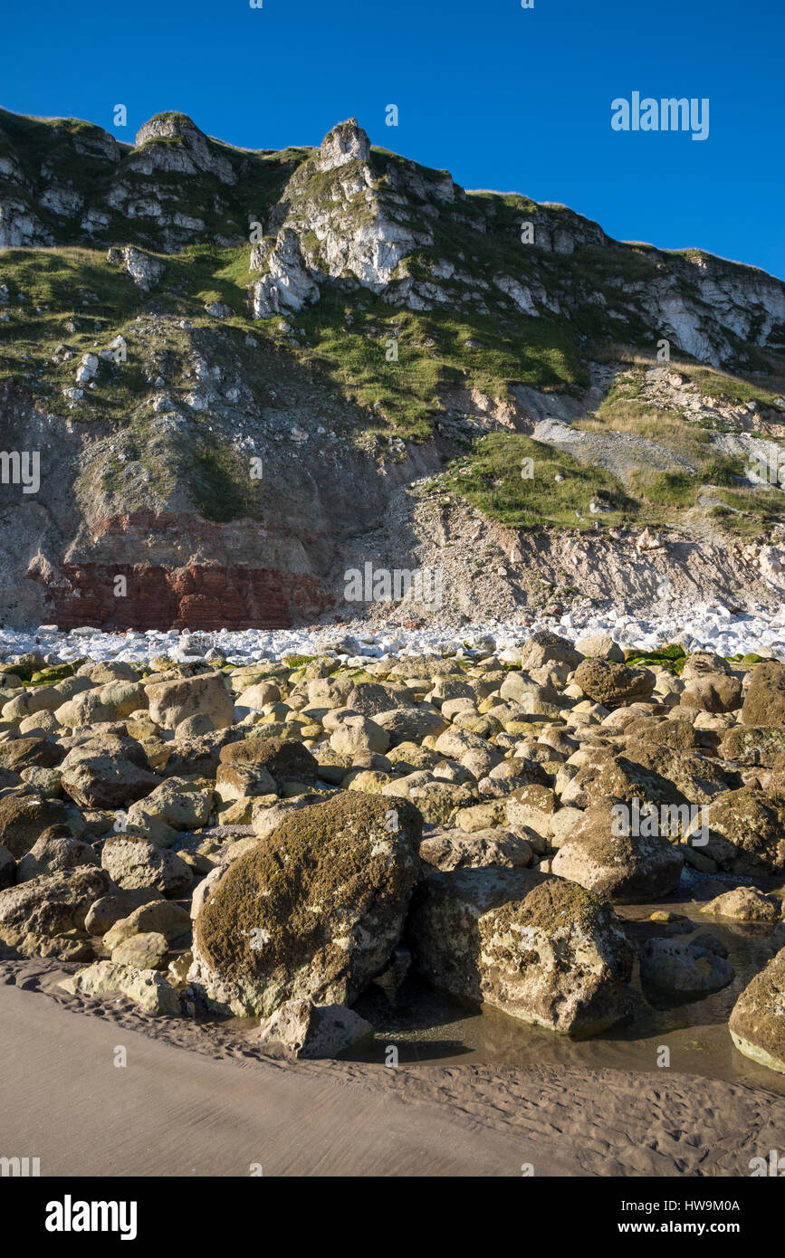 Yorkshire speeton cliffs hi-res stock photography and images - Alamy