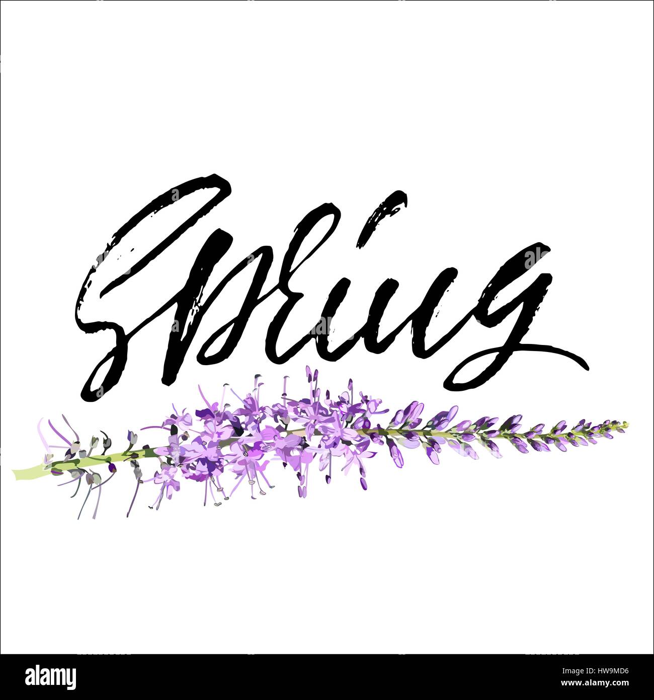 Handwritten lettering. Spring. Hand drawn calligraphy letters. Vector ...