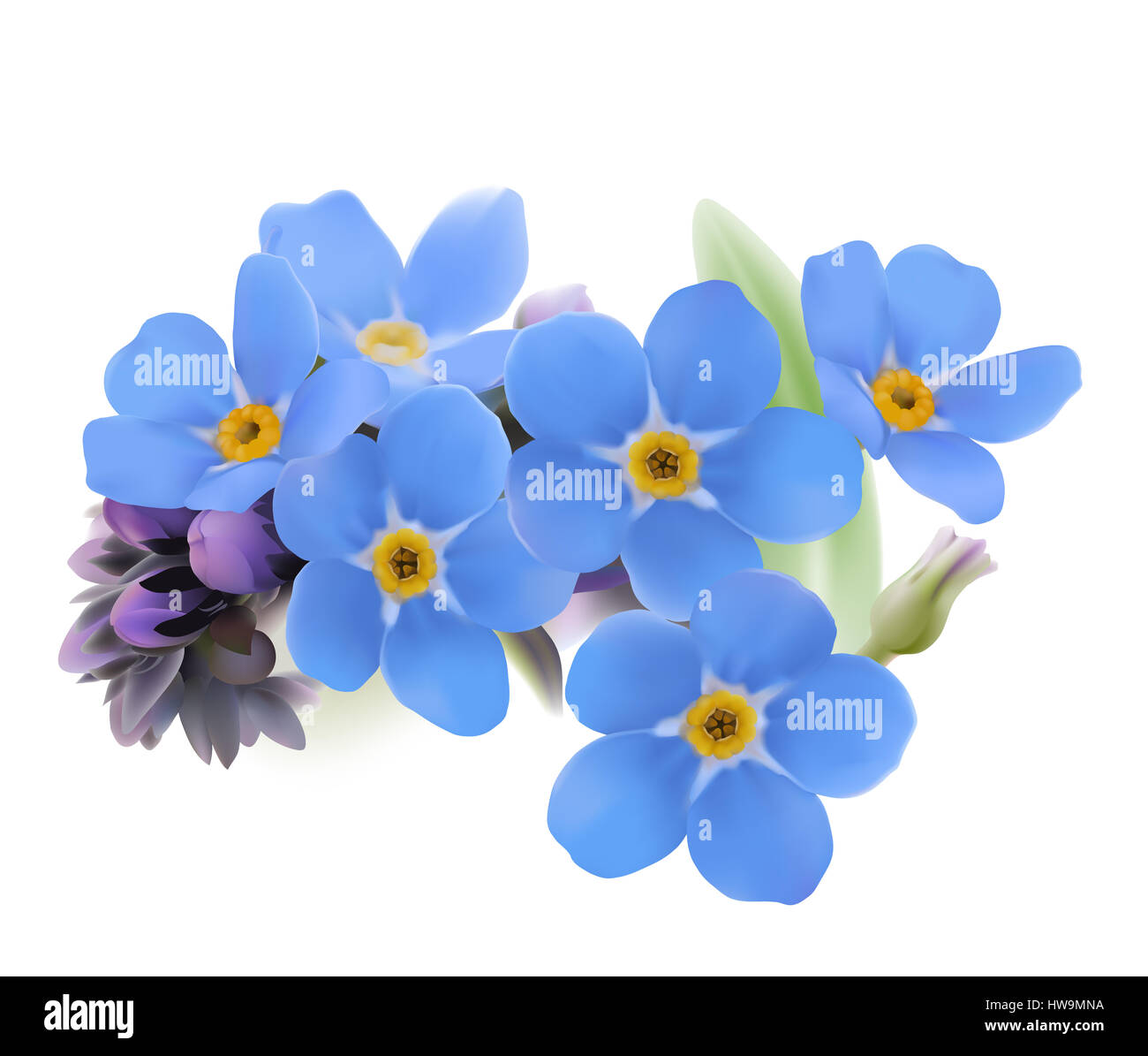 Forget Me Not Flowers Clipart