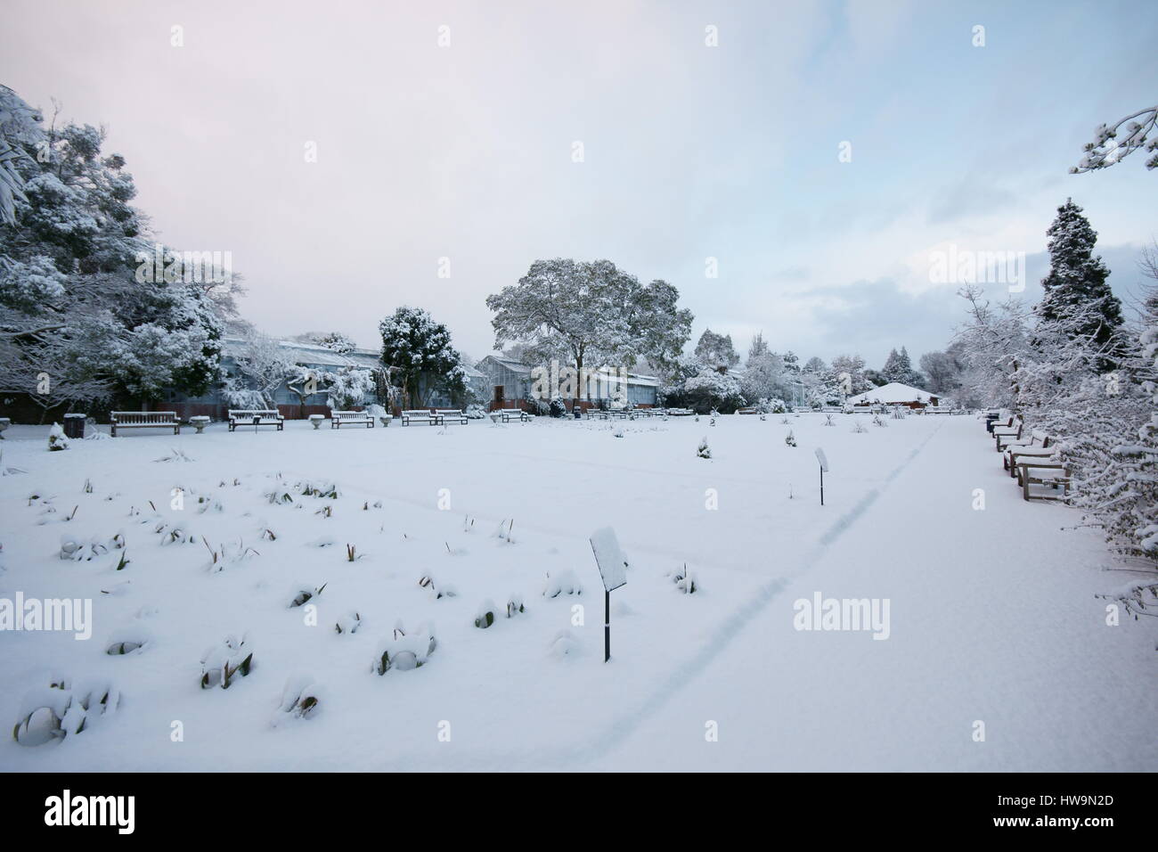 Singleton Botanical Gardens High Resolution Stock Photography and ...