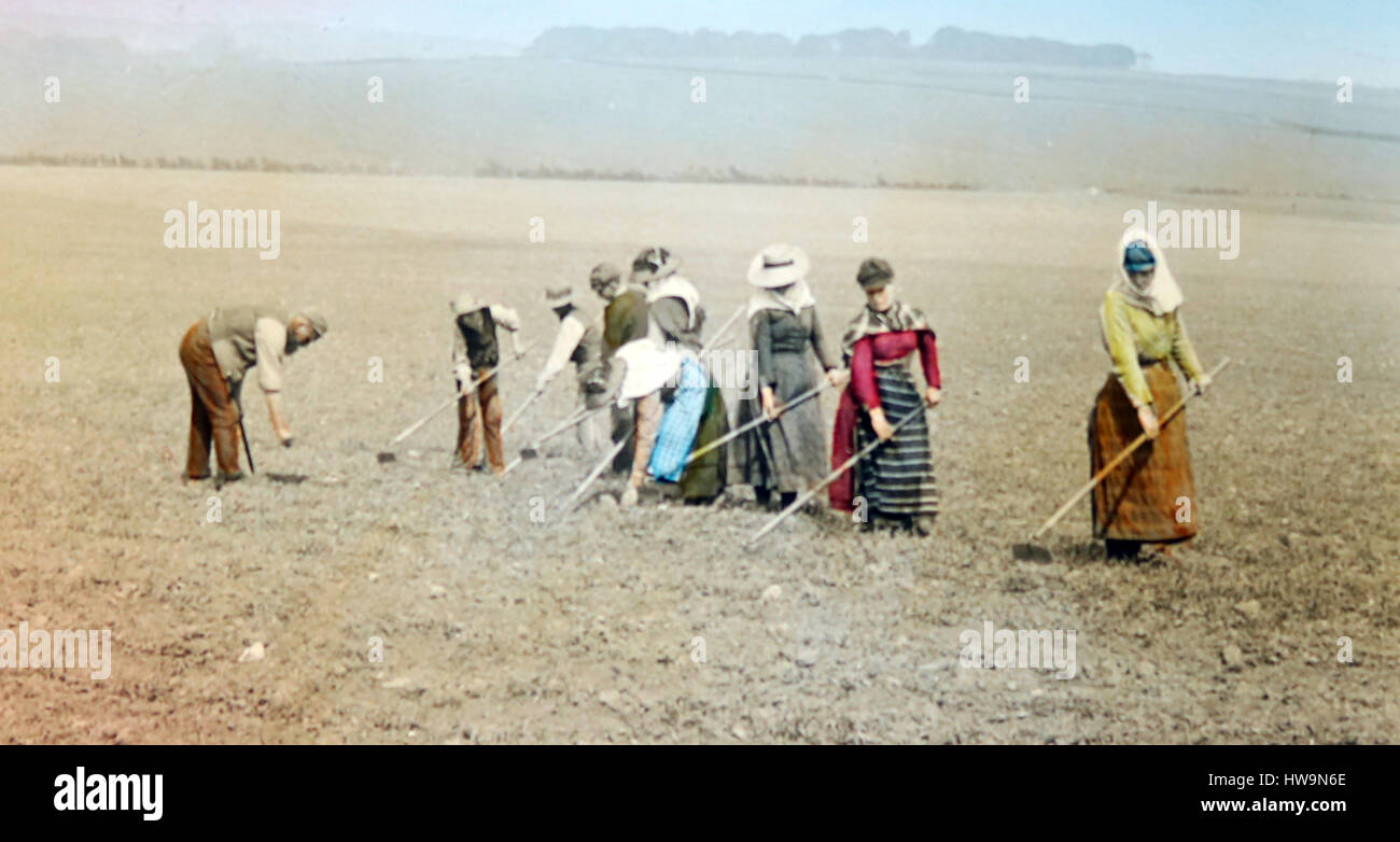 Scottish farm workers - hand coloured photo - Victorian period Stock ...