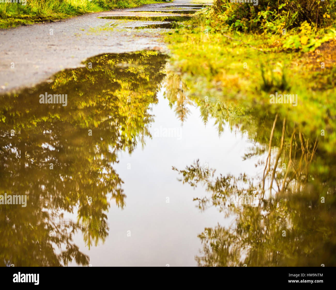 Rain paddle hi-res stock photography and images - Alamy