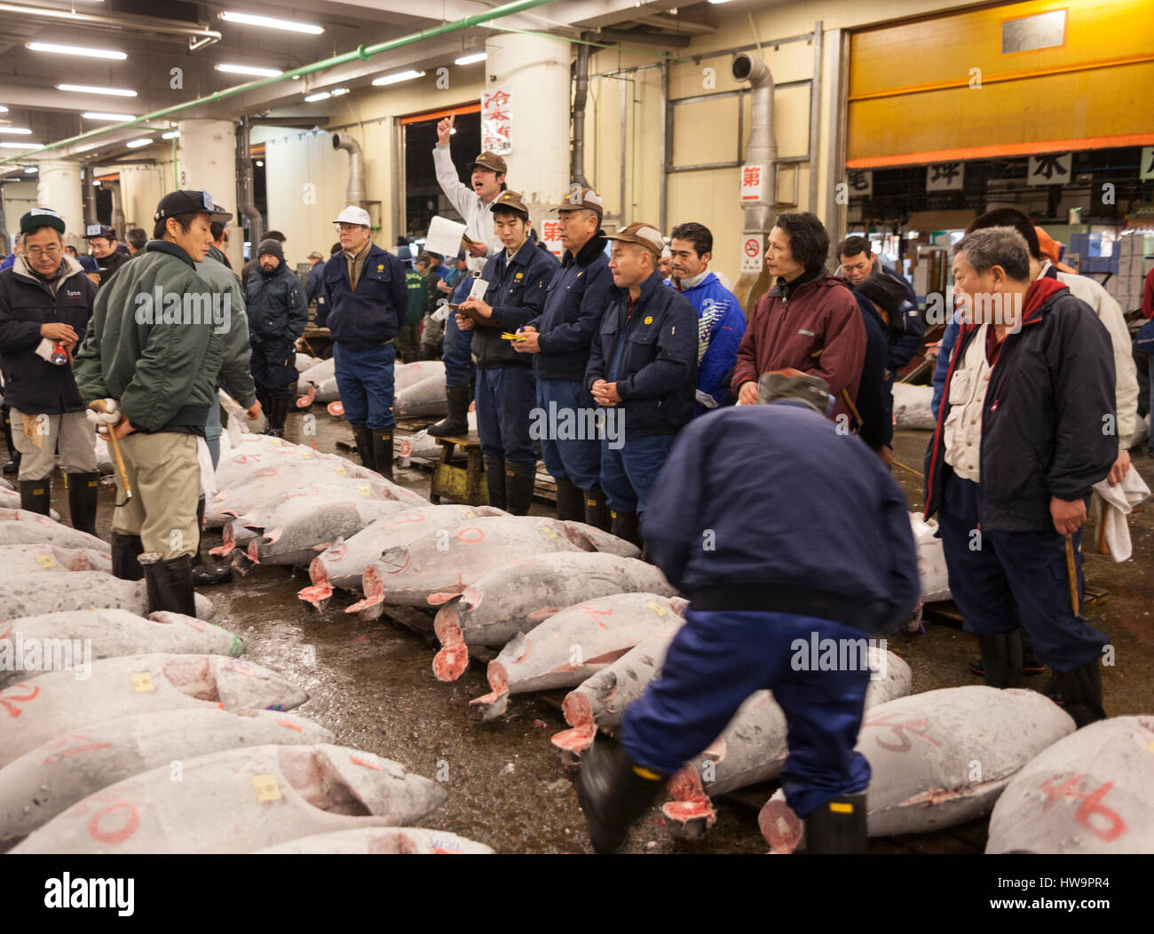 Tuna fish auction hi-res stock photography and images - Alamy
