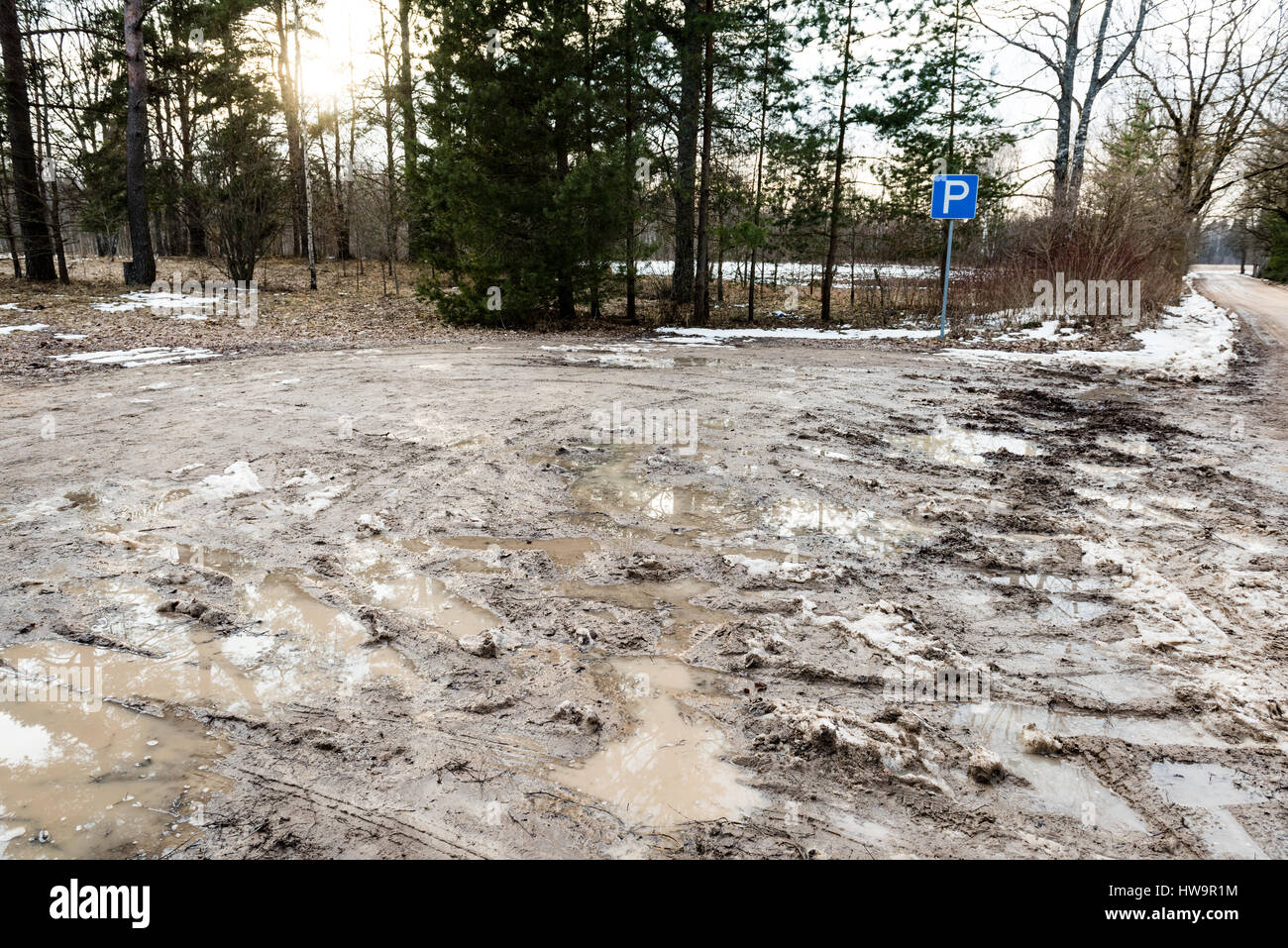 bad shaped country road in perspective in summer forest with trees and ...