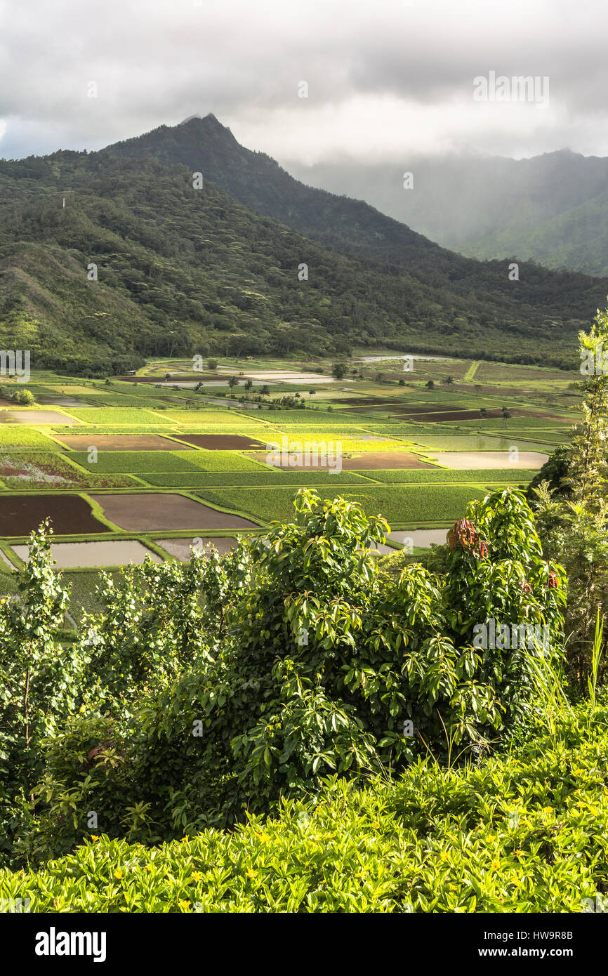 Hanalei valley hi-res stock photography and images - Alamy