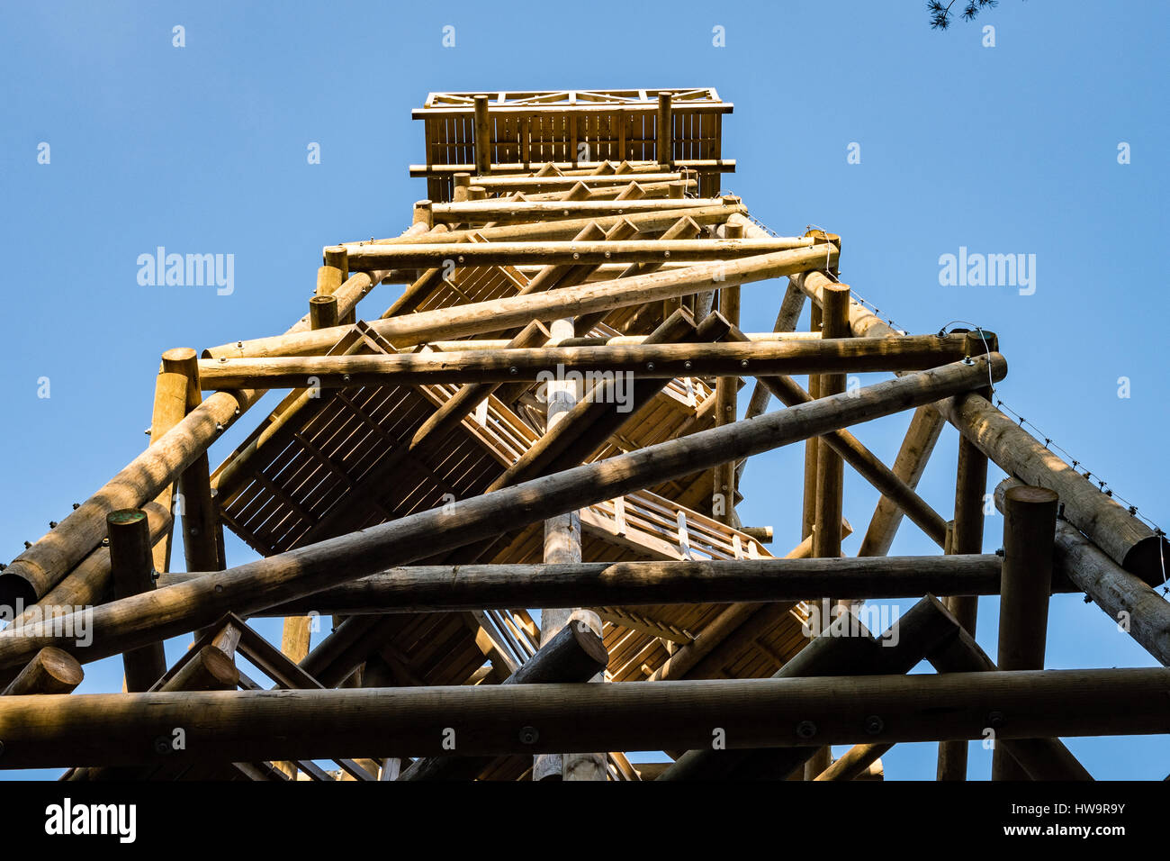 details of wooden watch tower deep in country forest with metal bolts ...