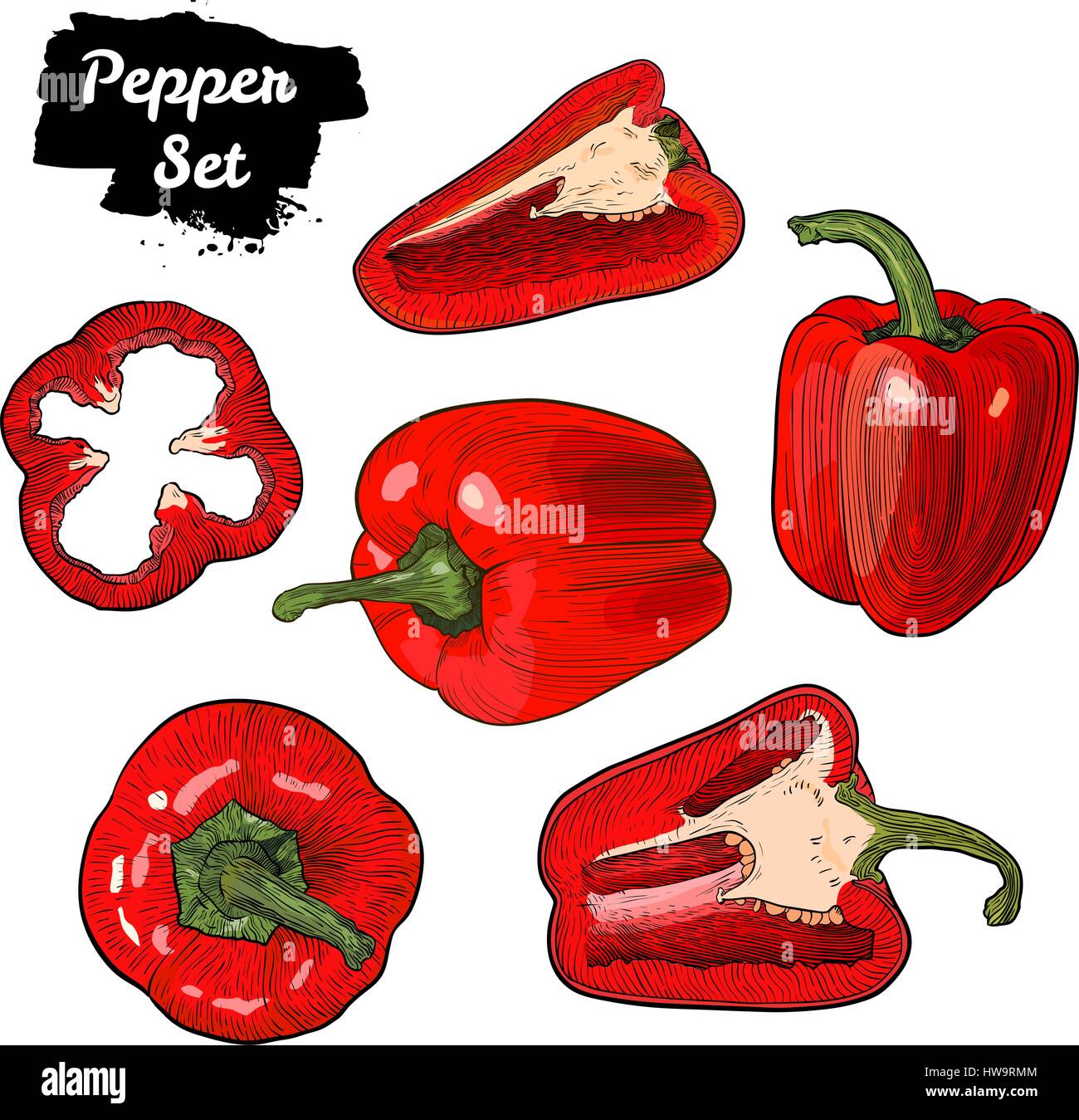 Hand drawn sketch style bell pepper set isolated on white background ...
