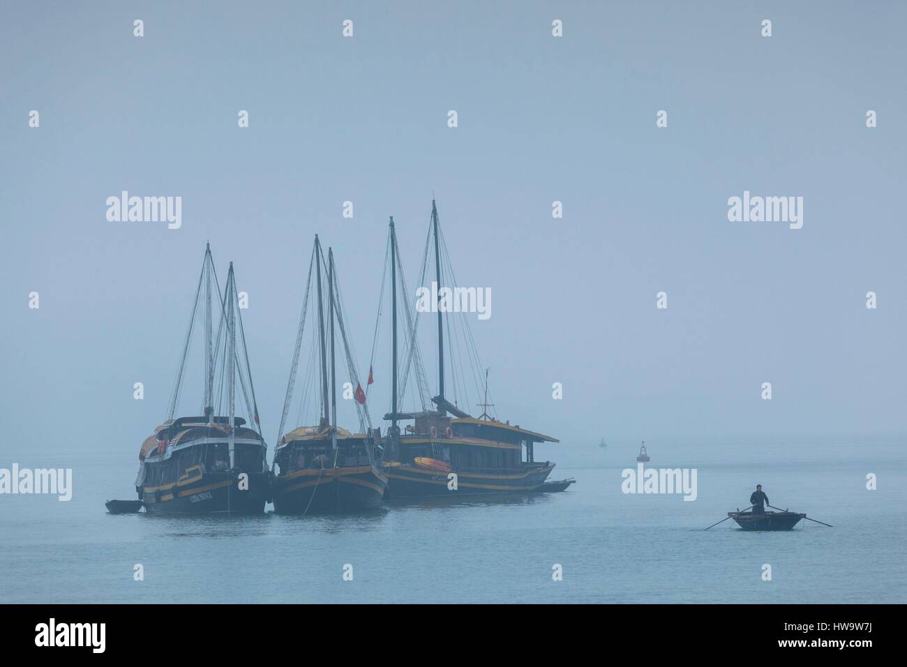 Ben beo hi-res stock photography and images - Alamy