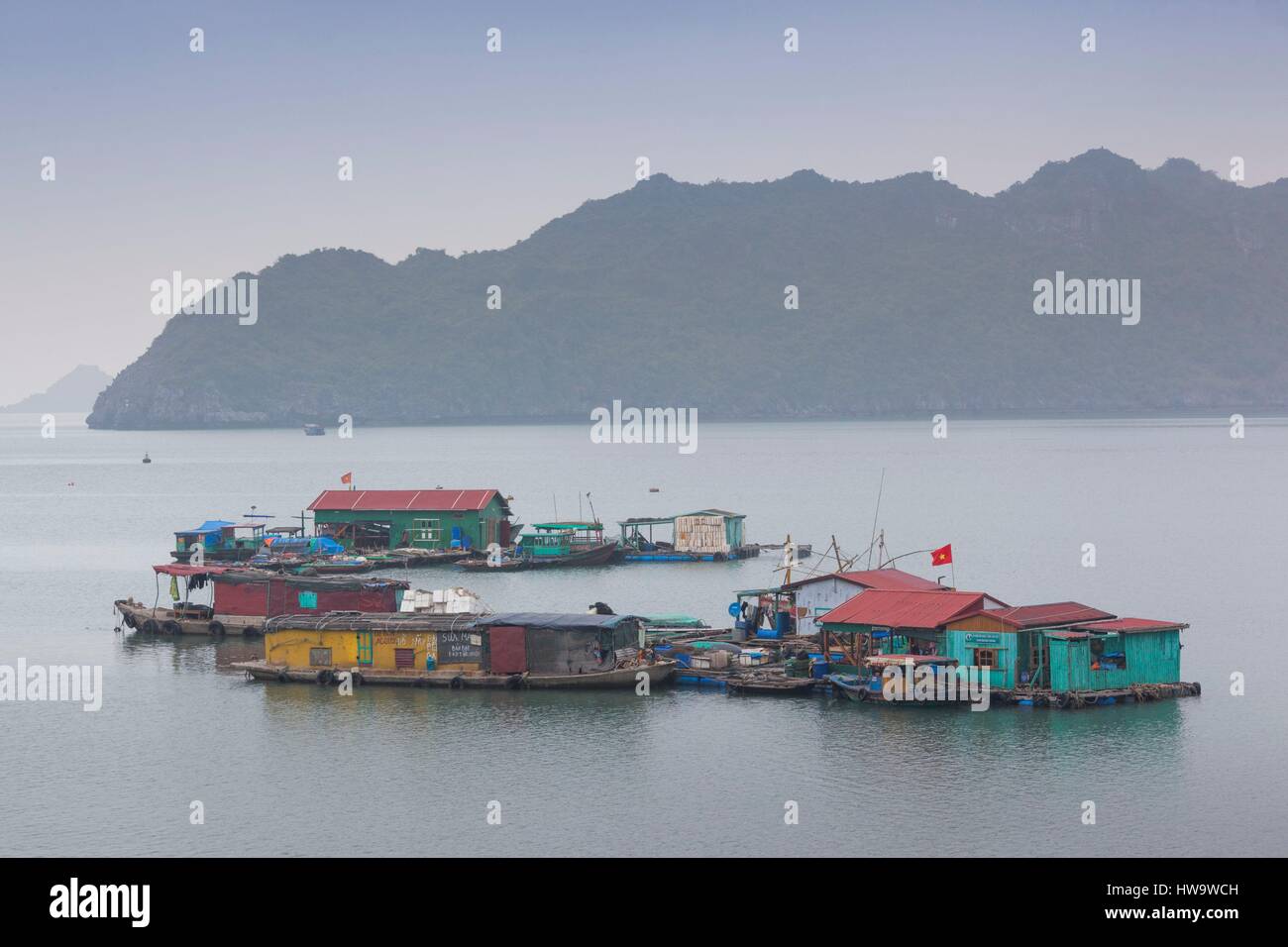 Vietnam, Cat Ba Island, Cat Ba Town, fishing boats, elevated view Stock ...