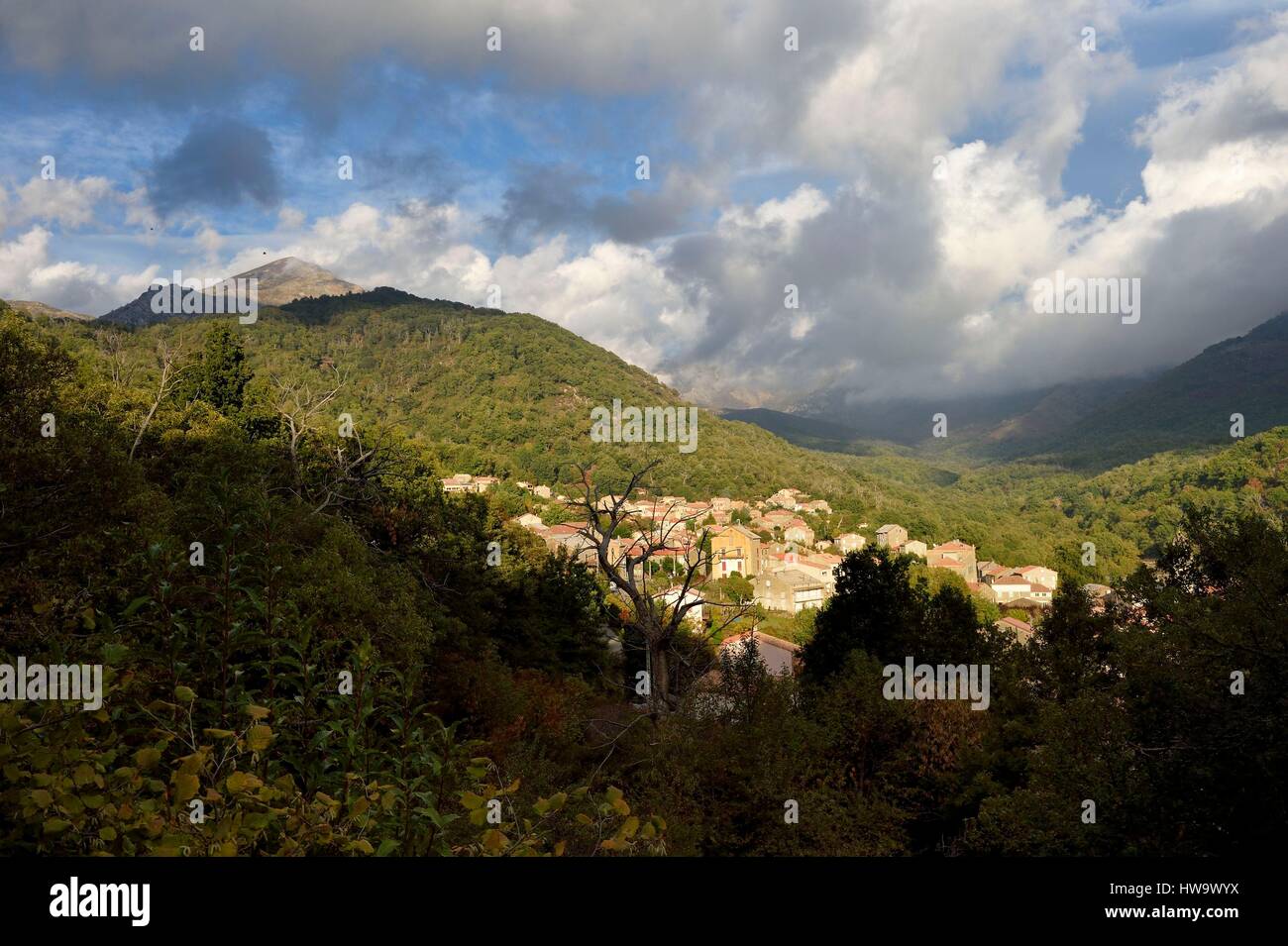 France, Corse du Sud, Prunelli river valley, Bastelica Stock Photo - Alamy