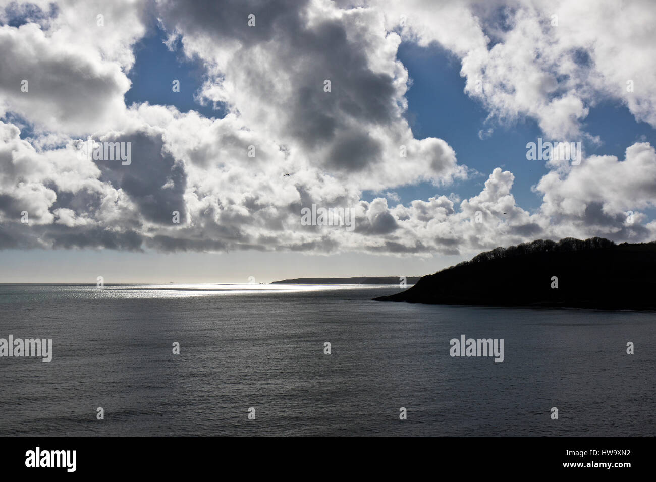 Swanpool hi-res stock photography and images - Alamy