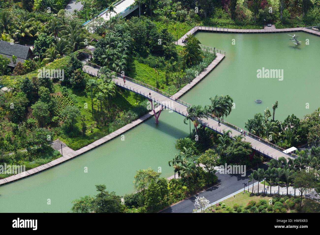 Singapore, elevated view of the Gardens By The Bay, elevated walkway ...