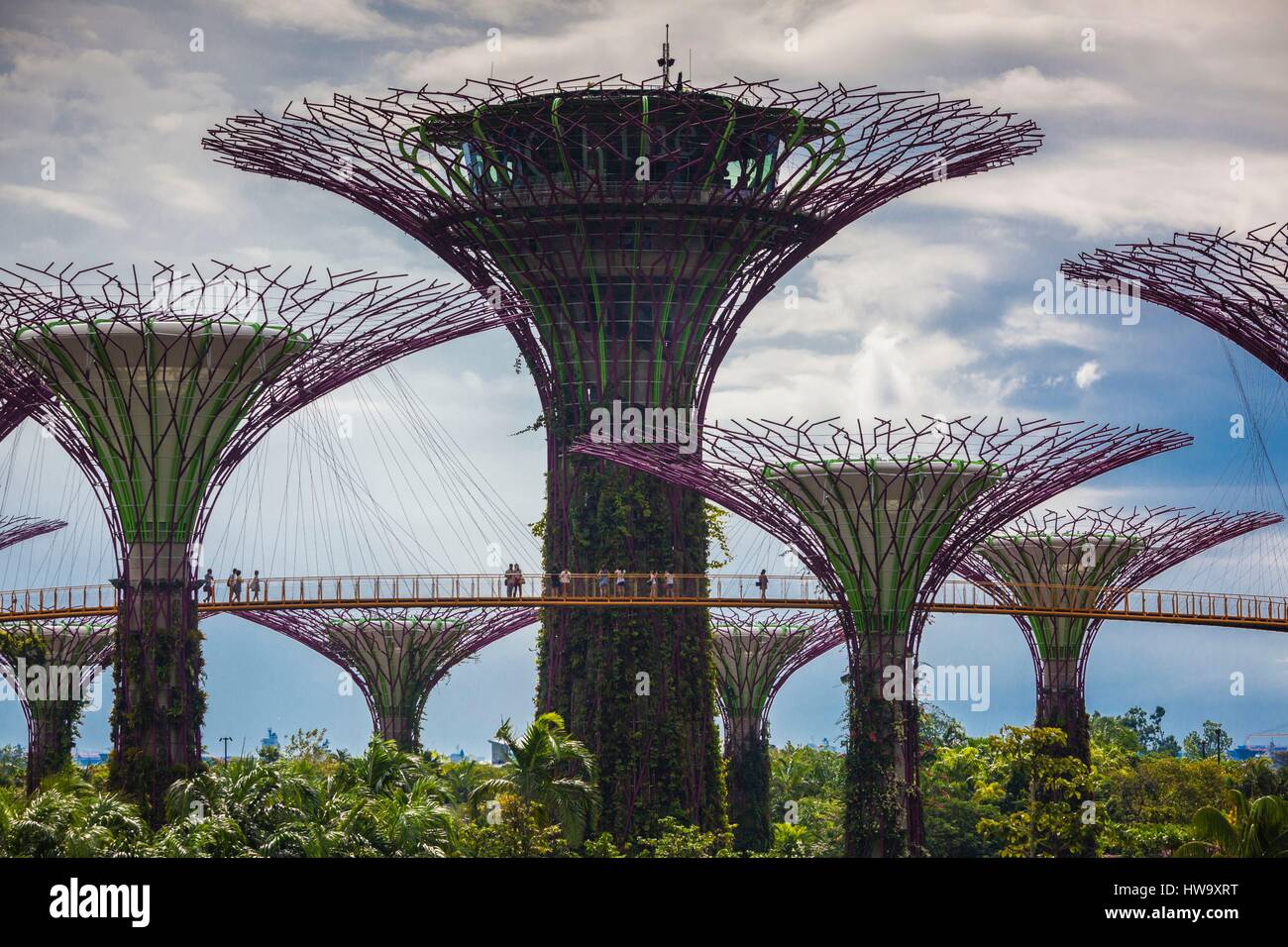 Super tree grove hi-res stock photography and images - Alamy