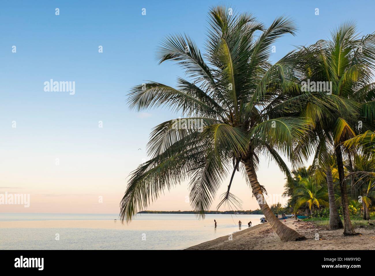 Belize, Stann Creek district, Hopkins, little garifuna fishing village ...