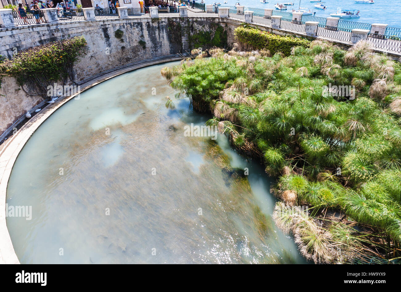 SYRACUSE, ITALY - JULY 3, 2011: people view of Fonte Arethusa (Spring ...