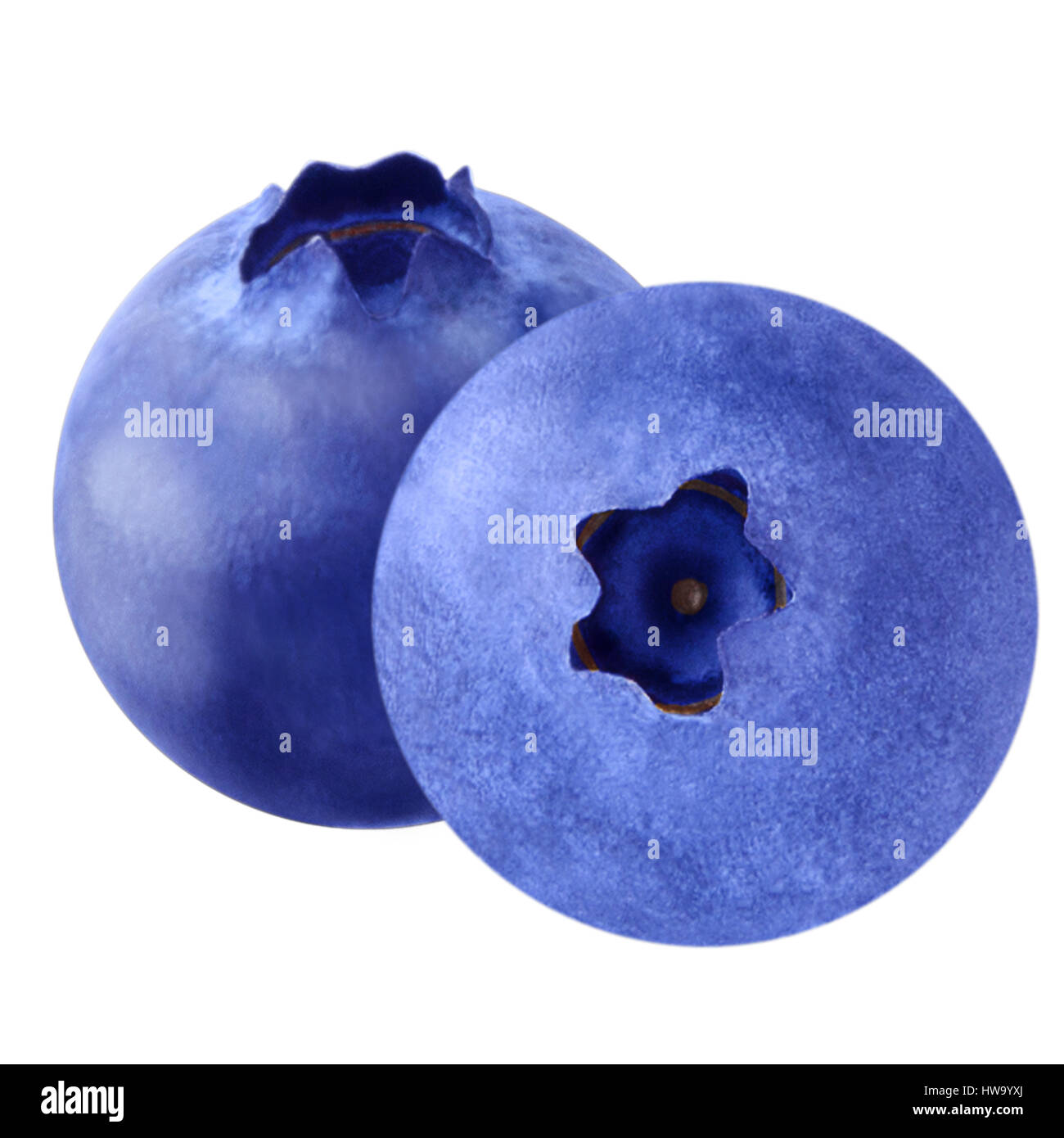 Isolated blueberries. Fruit blueberries isolated on white background as ...