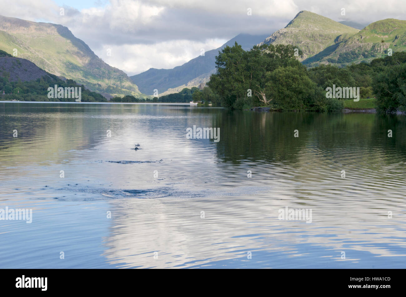Stone skimming on Llyn Padarn, Llanberis, North Wales, United Kingdom ...