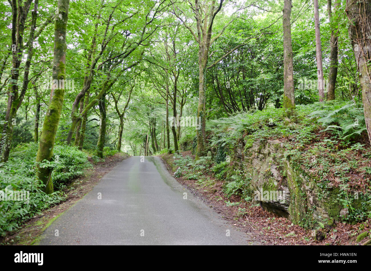 Roadside edges hi-res stock photography and images - Alamy