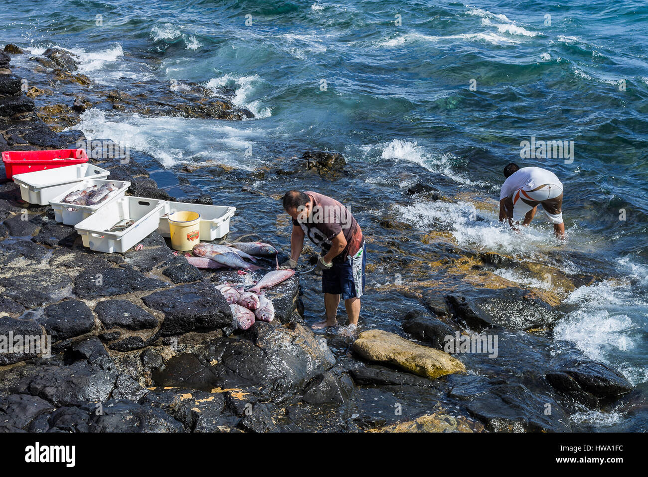 Lanzarote fish canary islands hi-res stock photography and images - Alamy