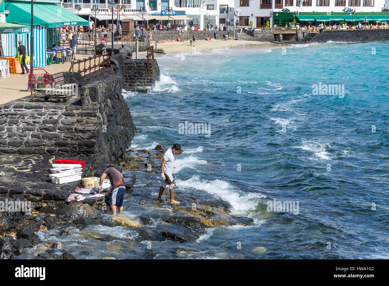 Lanzarote fish canary islands hi-res stock photography and images - Alamy