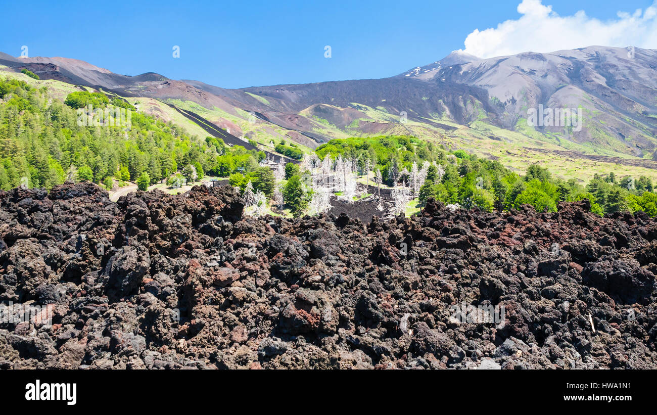 travel to Italy - hardened lava flow on slope of Etna volcano in Sicily ...