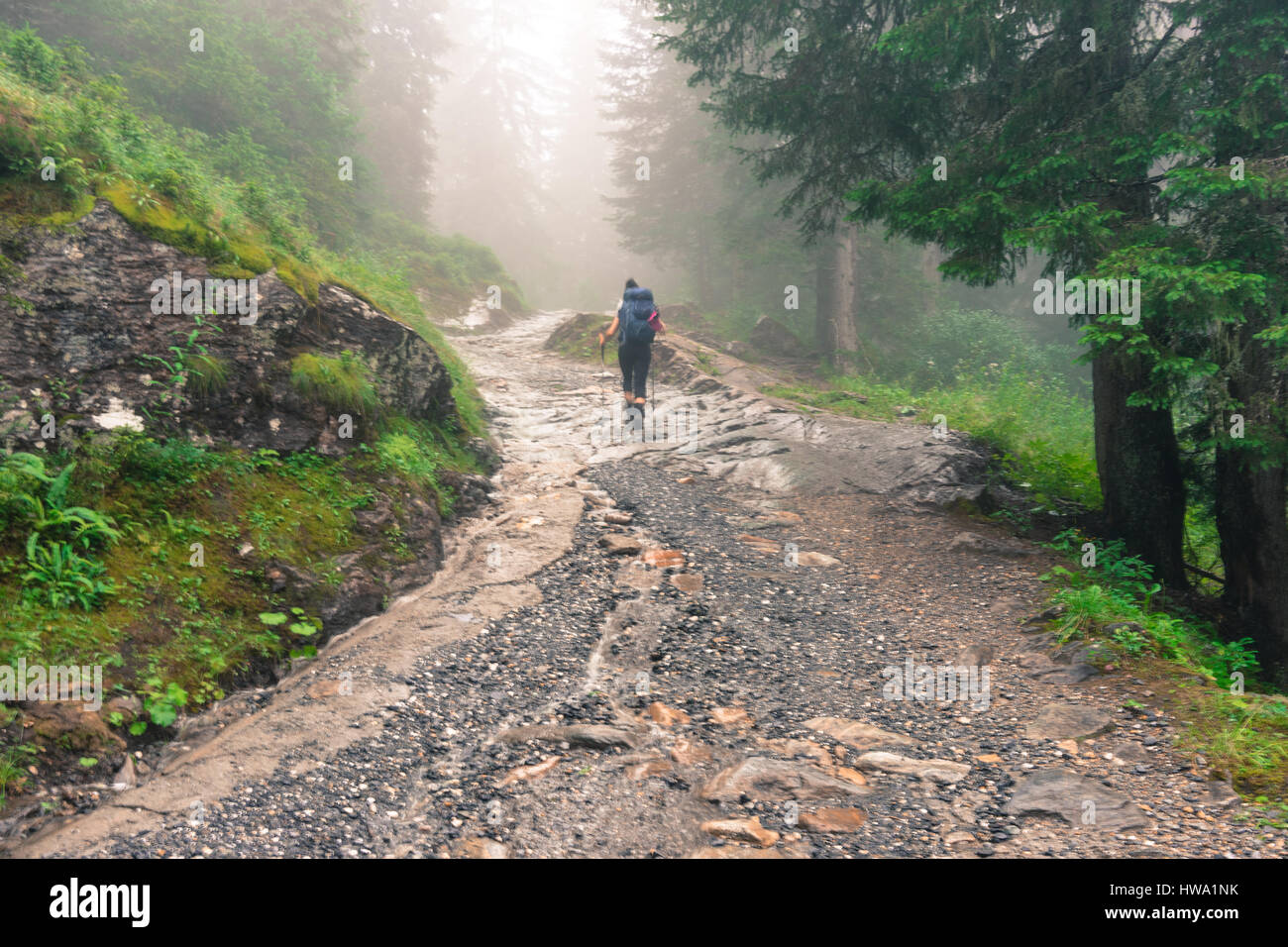 A woman hikes the Tour du Mont Blanc hiking trail in the French alps ...
