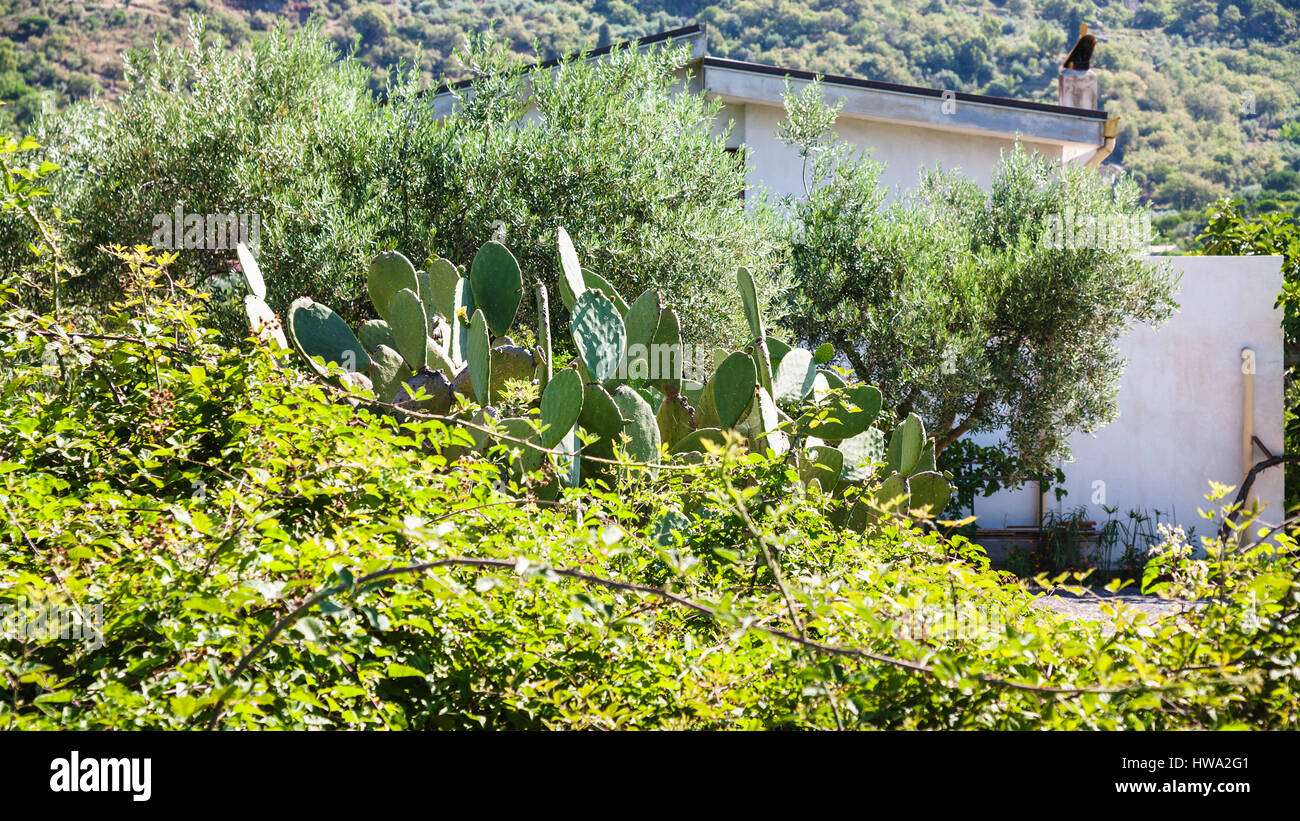 agricultural tourism in Italy - rural landscape with country building ...