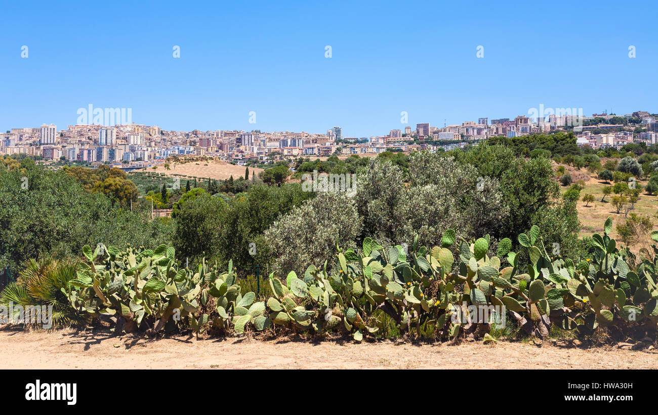 travel to Italy - garden and view of Agrigento town from Valley of the ...