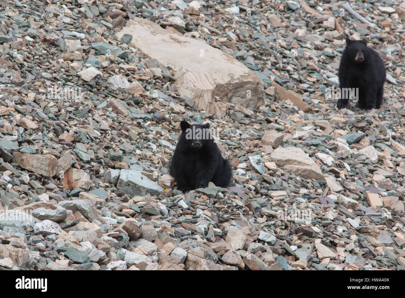 A woman stand beneath a waterfall in Montana Stock Photo - Alamy