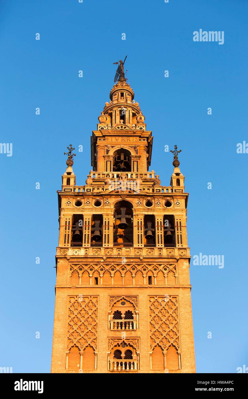 Triumph square hi-res stock photography and images - Alamy