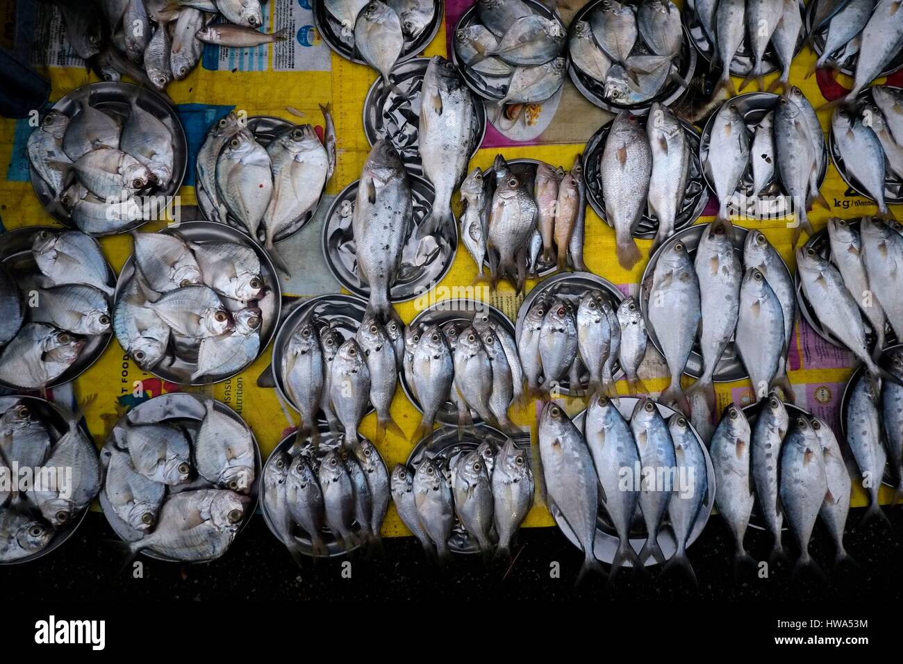 Myanmar, Yangon, fresh fish market in downtown Yangon Stock Photo - Alamy