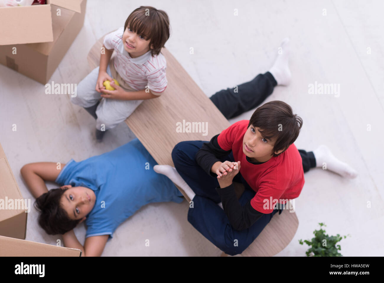 portrait of happy young boys with cardboard boxes around them in a new ...