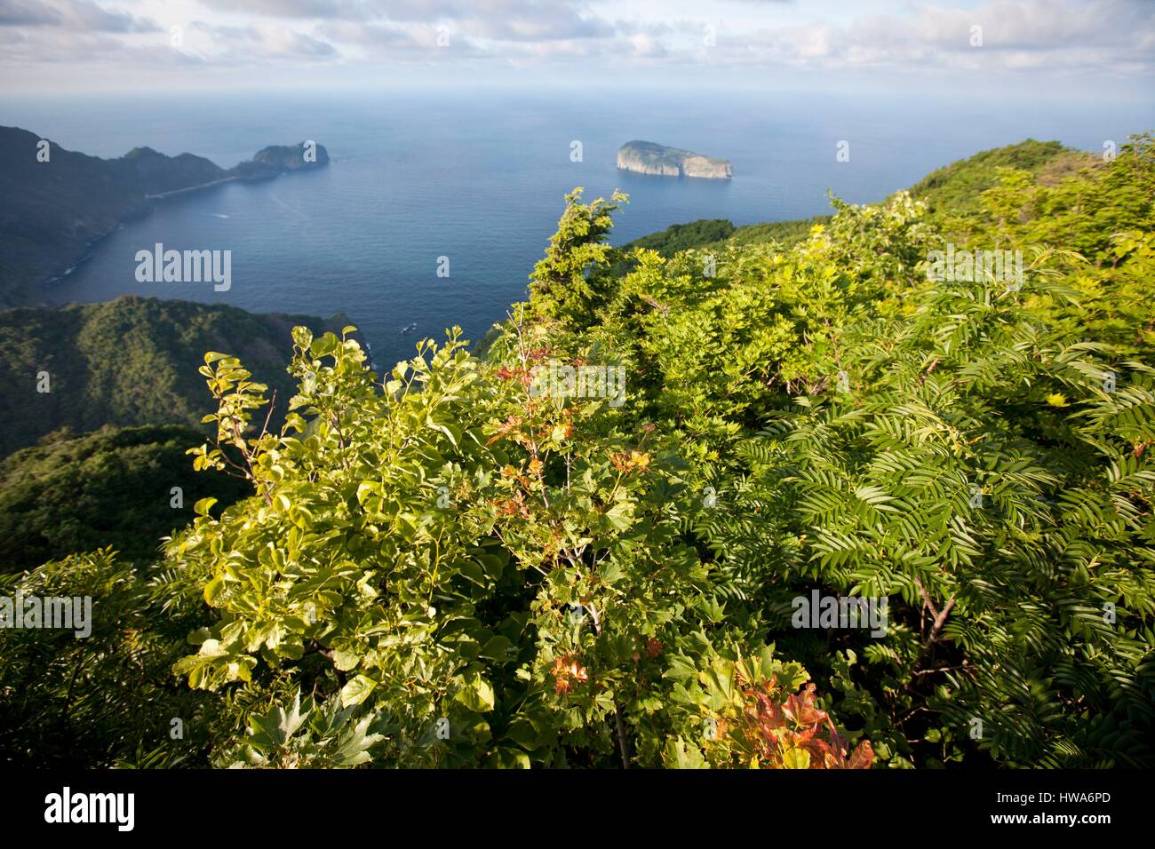 Juk hi-res stock photography and images - Alamy