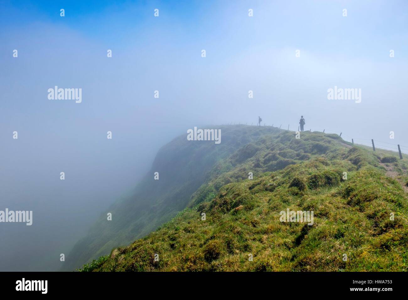 Portugal, Azores archipelago, Faial island, Nature Reserve of Caldeira ...