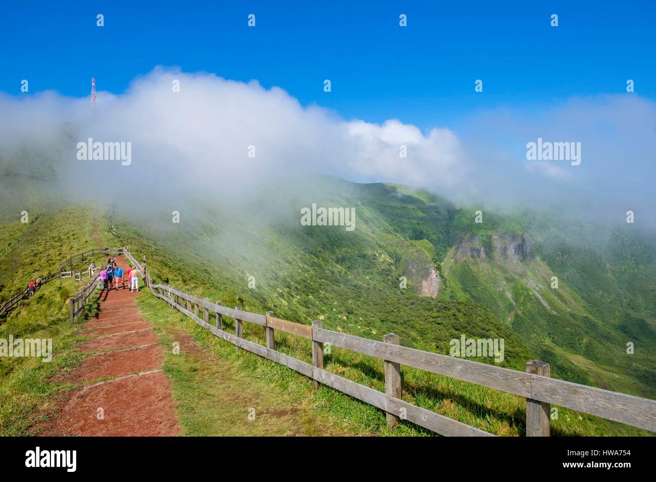 Portugal, Azores archipelago, Faial island, Nature Reserve of Caldeira ...